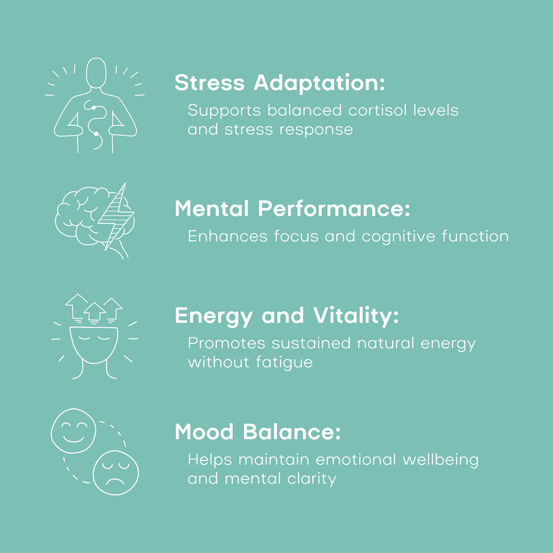 Adaptogen Complex 60 Caps | Stress & Energy Support – PrimeSelf