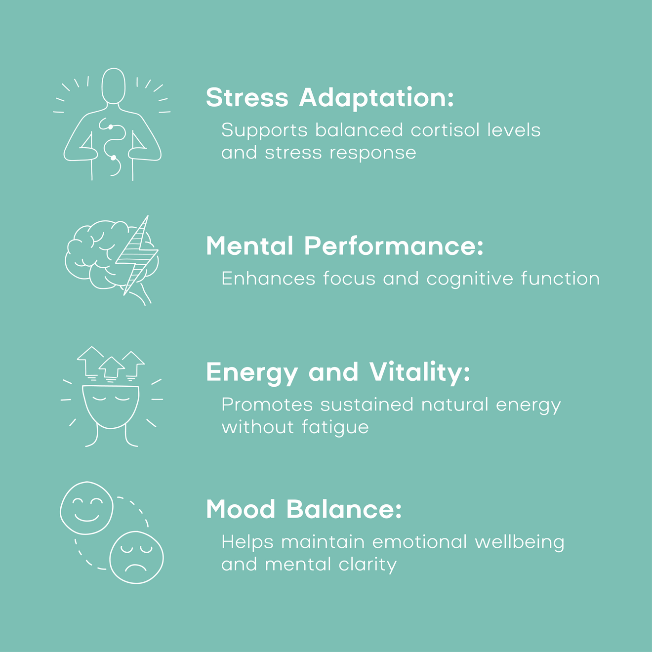 Adaptogen Complex 60 Caps | Stress & Energy Support – PrimeSelf
