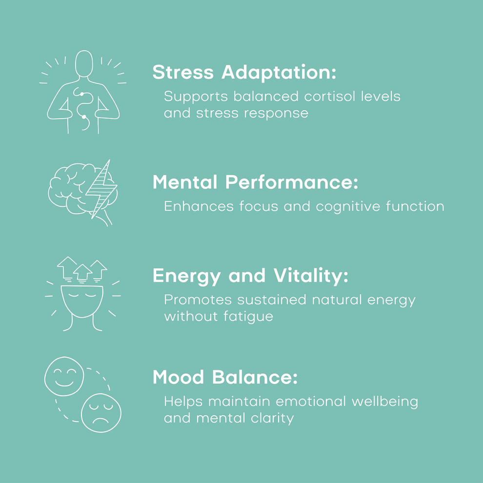 Adaptogen Complex 60 Caps | Stress & Energy Support – PrimeSelf