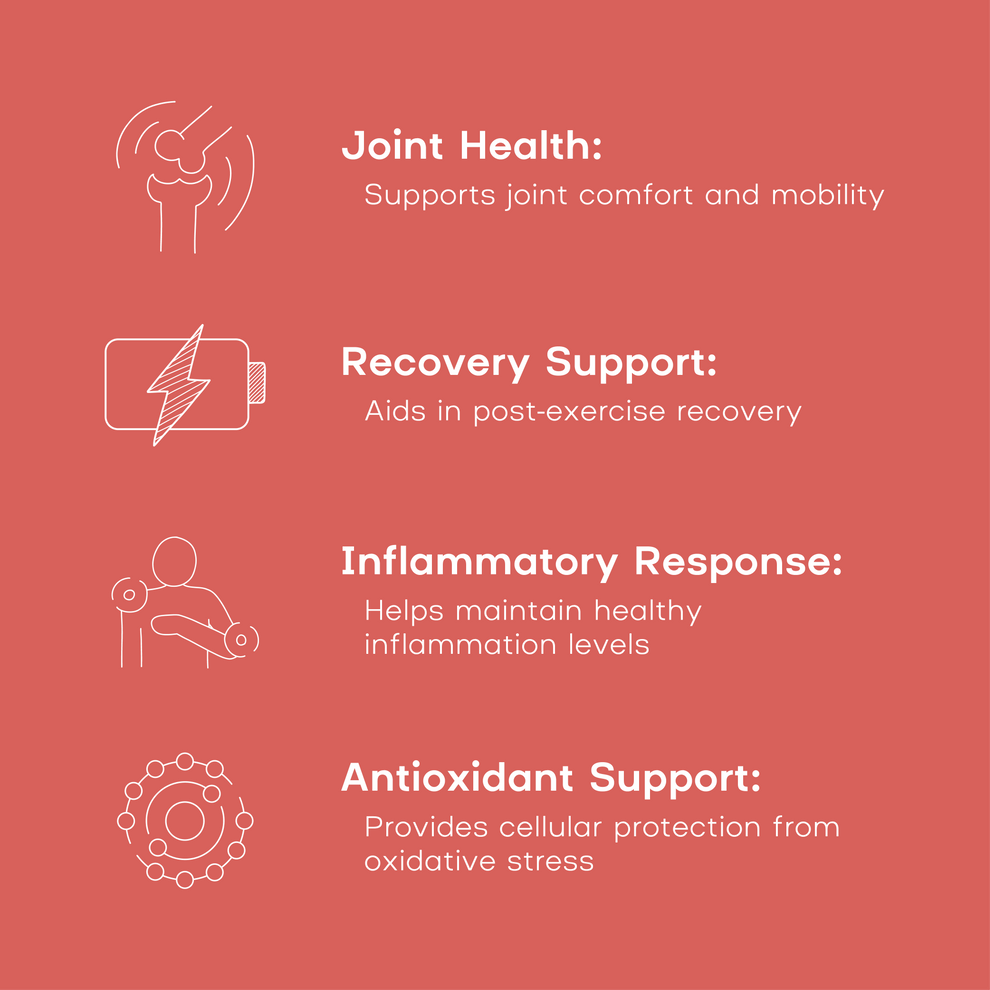 PrimeSelf Inflammation Complex | Joint & Muscle Support