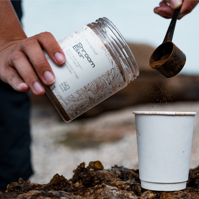 PrimeSelf Shroom Elixir Powder | 4-in-1 Mushroom Blend Supplement